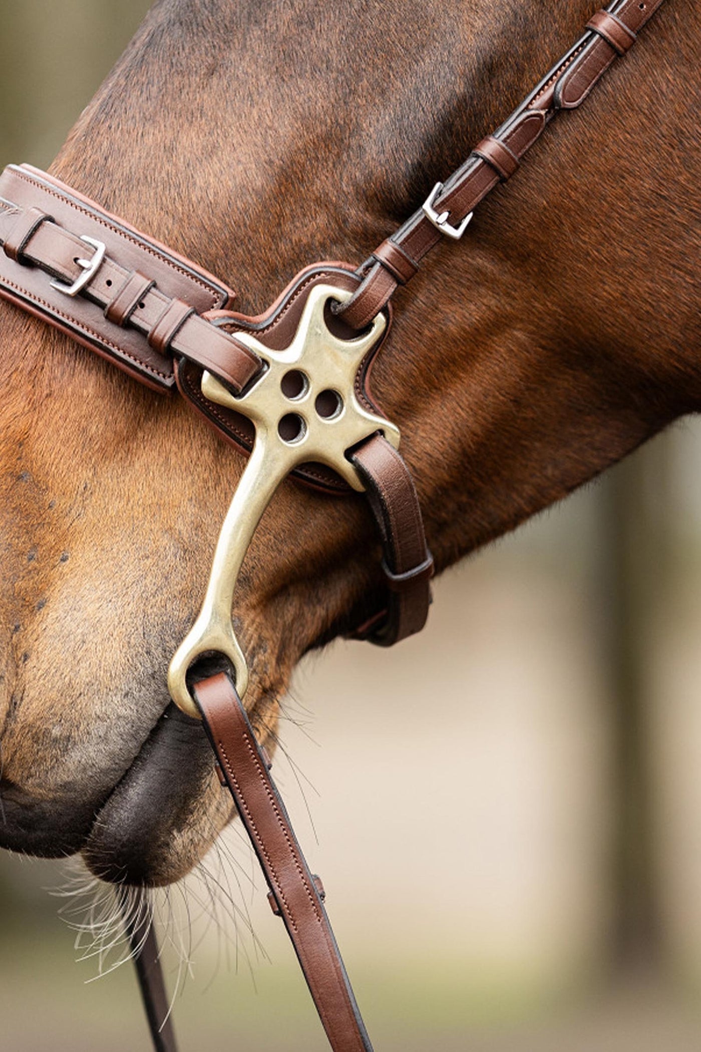 Bridle Sopot Hackamore Bridle, Cheeks 16 Cm Brown/Silver C – horze