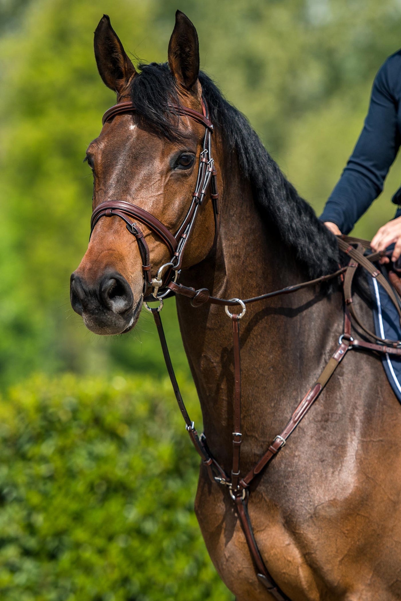 Calgary Combined Noseband Bridle Brown/Silver C – horze