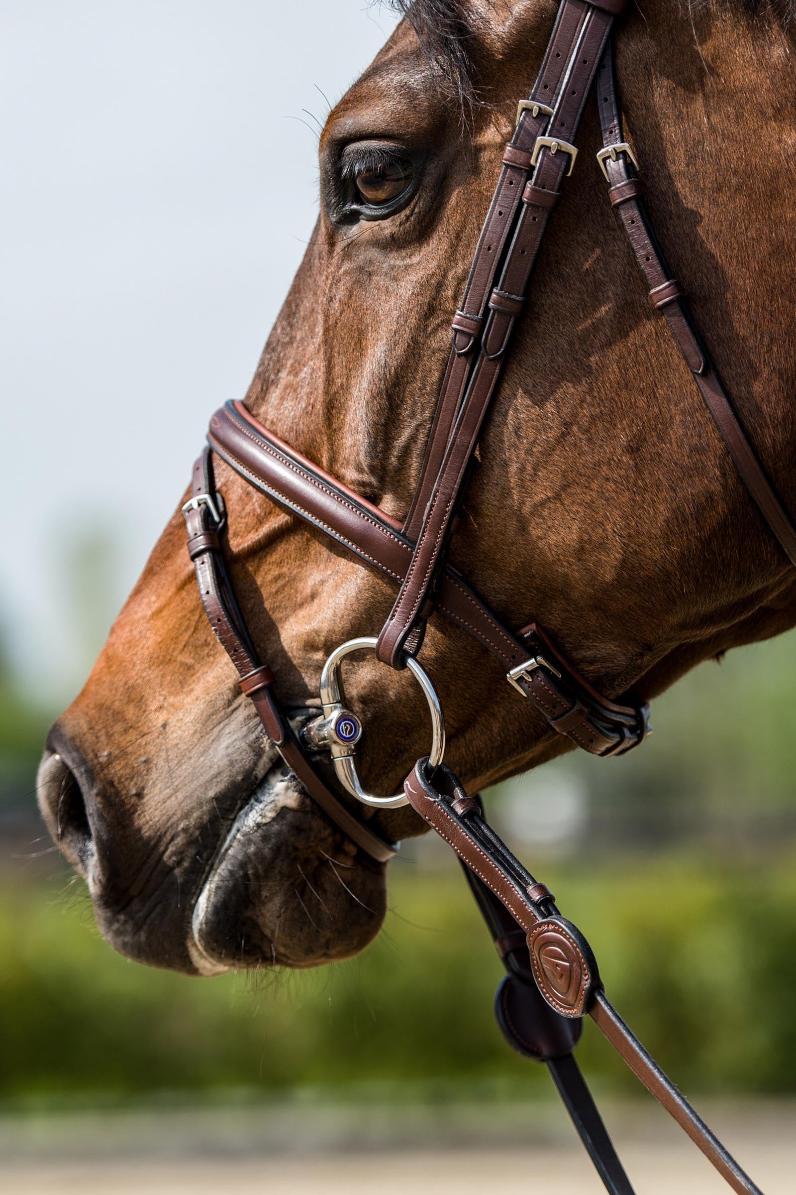 Calgary Combined Noseband Bridle Brown/Silver C – horze